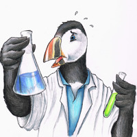 Puffin potion by Sergio P. Wolf - Transfur