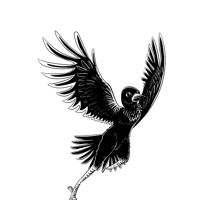 Crow TF Takeoff by Cobalt_K - Transfur