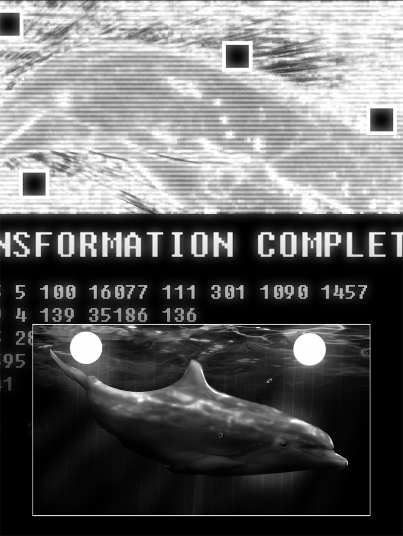 phin exp by Gryf - Transfur